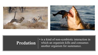 ECOSYSTEM.pptx0340343nonefre9i93i9ndjfnj | PPT