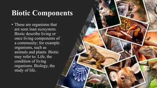 ECOSYSTEM.pptx0340343nonefre9i93i9ndjfnj | PPT