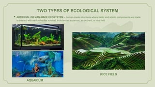 ECOSYSTEM.pptx tkhddffkjekfjkebmjsbfhdfjdjkfhkjehf | PPT