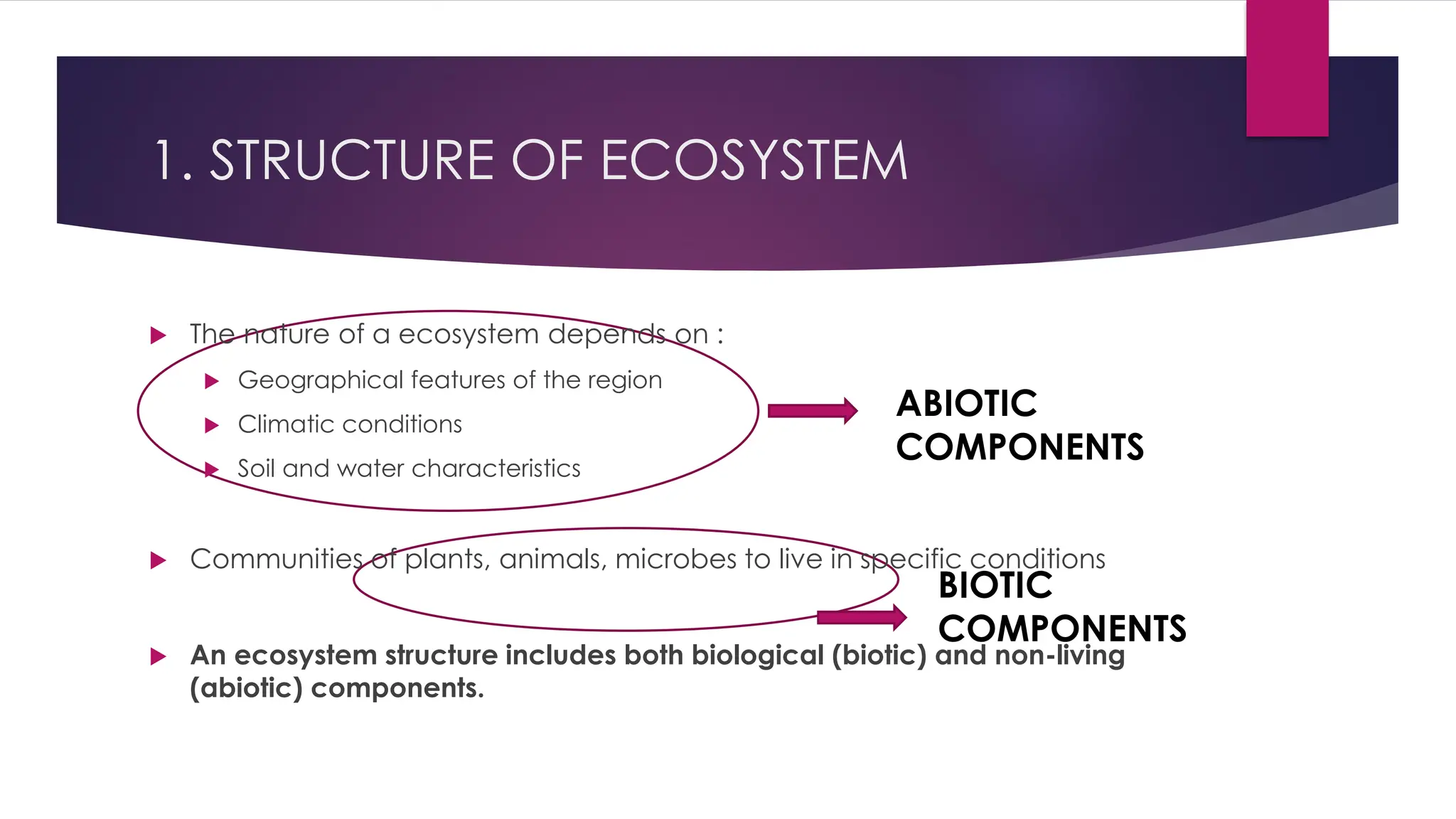 A slideshow on the meaning, types and components of an Ecosystem. | PDF