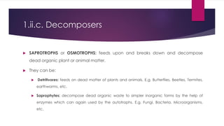 A slideshow on the meaning, types and components of an Ecosystem. | PDF