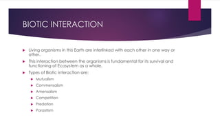 A slideshow on the meaning, types and components of an Ecosystem. | PDF