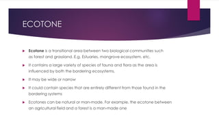 A slideshow on the meaning, types and components of an Ecosystem. | PDF
