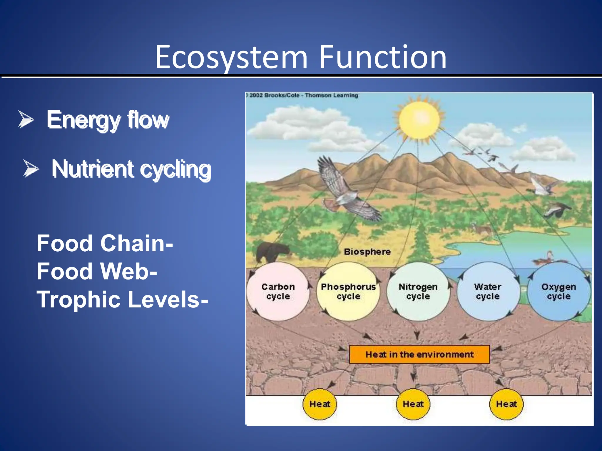 Ecosystem Ecosystem Ecosystem 1Ecosystem | PPT
