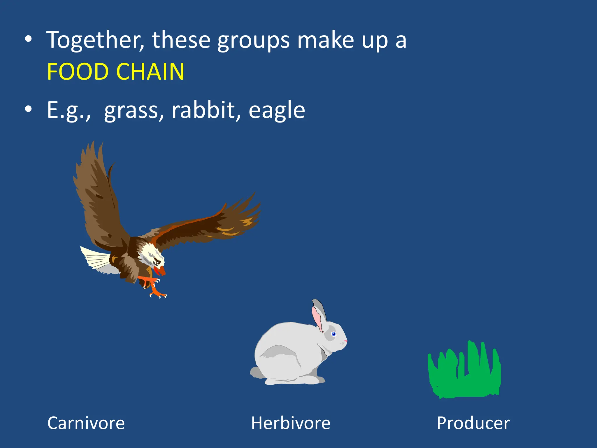 Ecosystem Ecosystem Ecosystem 1Ecosystem | PPT