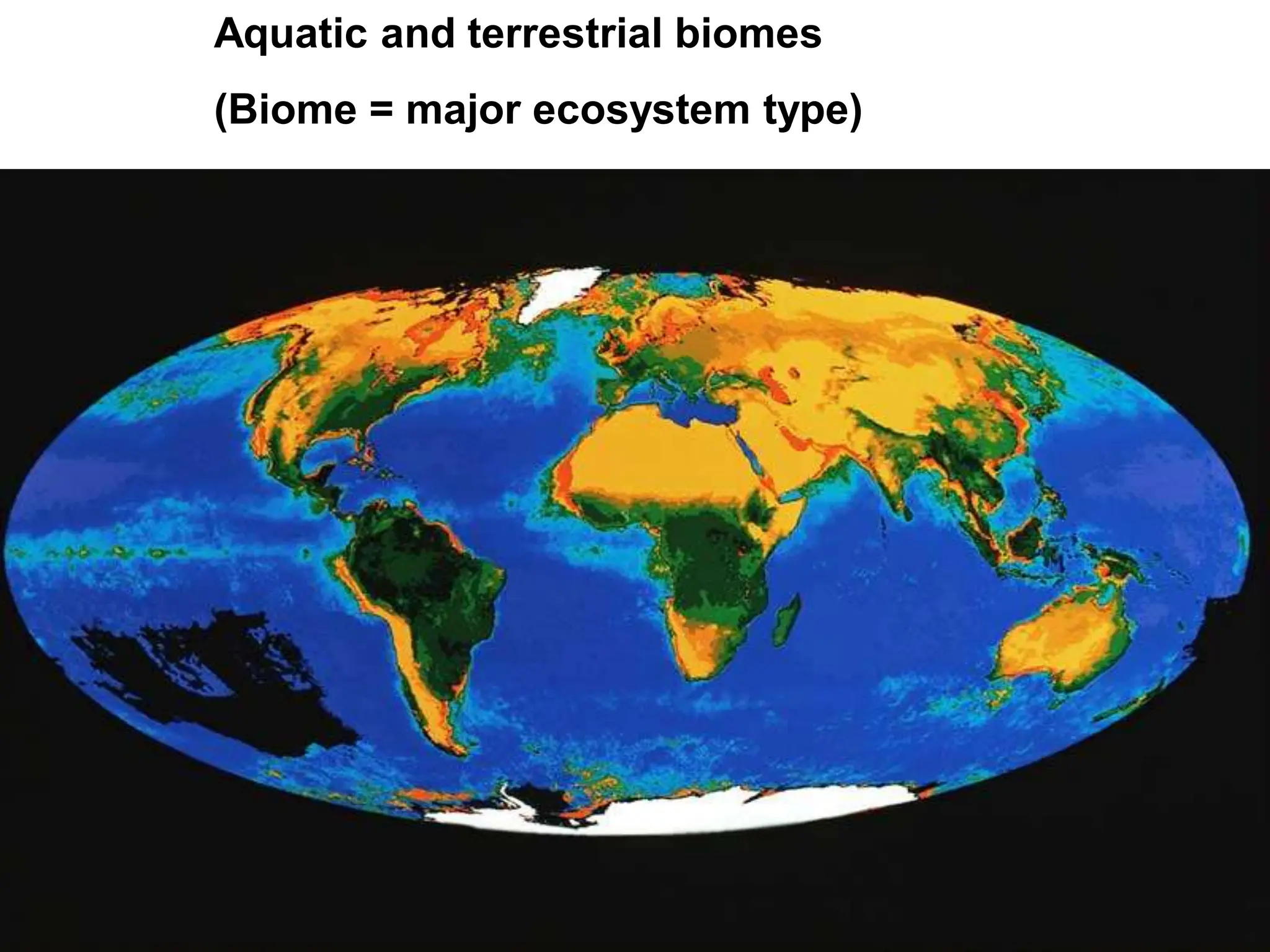 Ecosystem Ecosystem Ecosystem 1Ecosystem | PPT