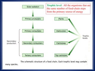 Ecosystem Ecosystem Ecosystem 1Ecosystem | PPT