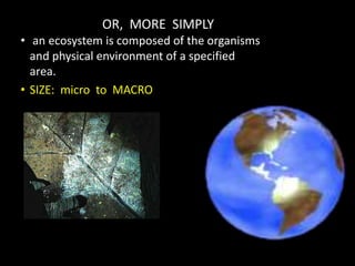 Ecosystem Ecosystem Ecosystem 1Ecosystem | PPT