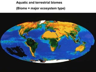 Ecosystem Ecosystem Ecosystem 1Ecosystem | PDF