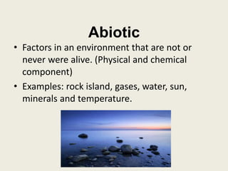 Ecosystem Ecosystem Ecosystem 1Ecosystem | PPT