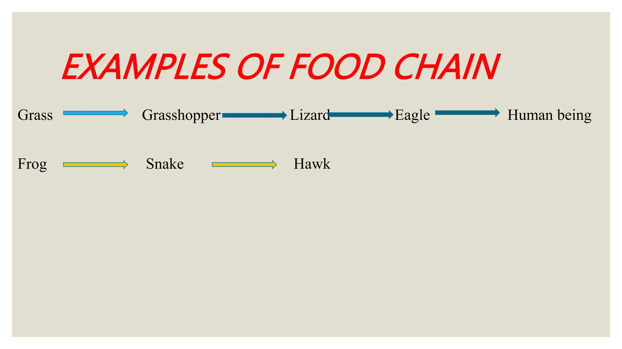 ECOSYSTEM, FOOD CHAIN, INTERACTIONS.pptx