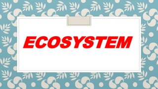 ECOSYSTEM, FOOD CHAIN, INTERACTIONS.pptx