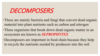 ECOSYSTEM, FOOD CHAIN, INTERACTIONS.pptx