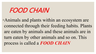 ECOSYSTEM, FOOD CHAIN, INTERACTIONS.pptx