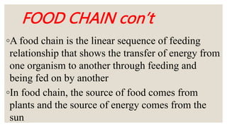 ECOSYSTEM, FOOD CHAIN, INTERACTIONS.pptx