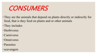 ECOSYSTEM, FOOD CHAIN, INTERACTIONS.pptx
