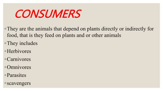 ECOSYSTEM, FOOD CHAIN, INTERACTIONS.pptx