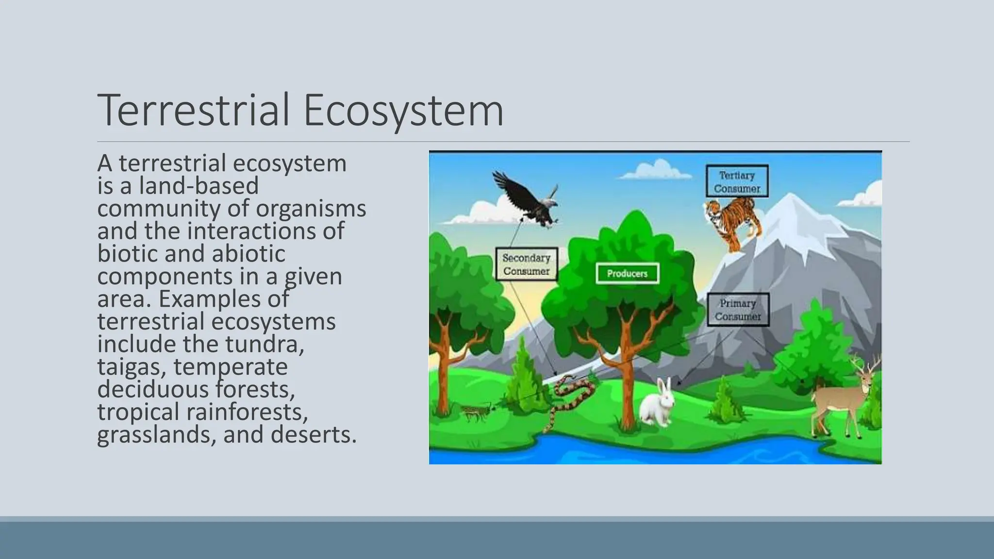 Ecosystem(Types of Ecosystem in natural habitat) | PPT