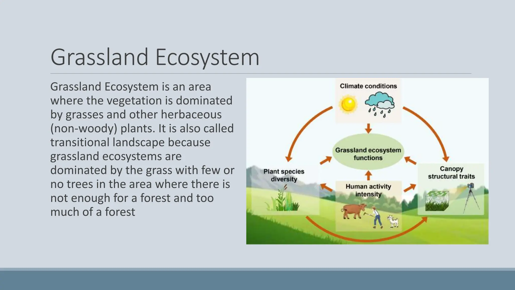 Ecosystem(Types of Ecosystem in natural habitat) | PPTX