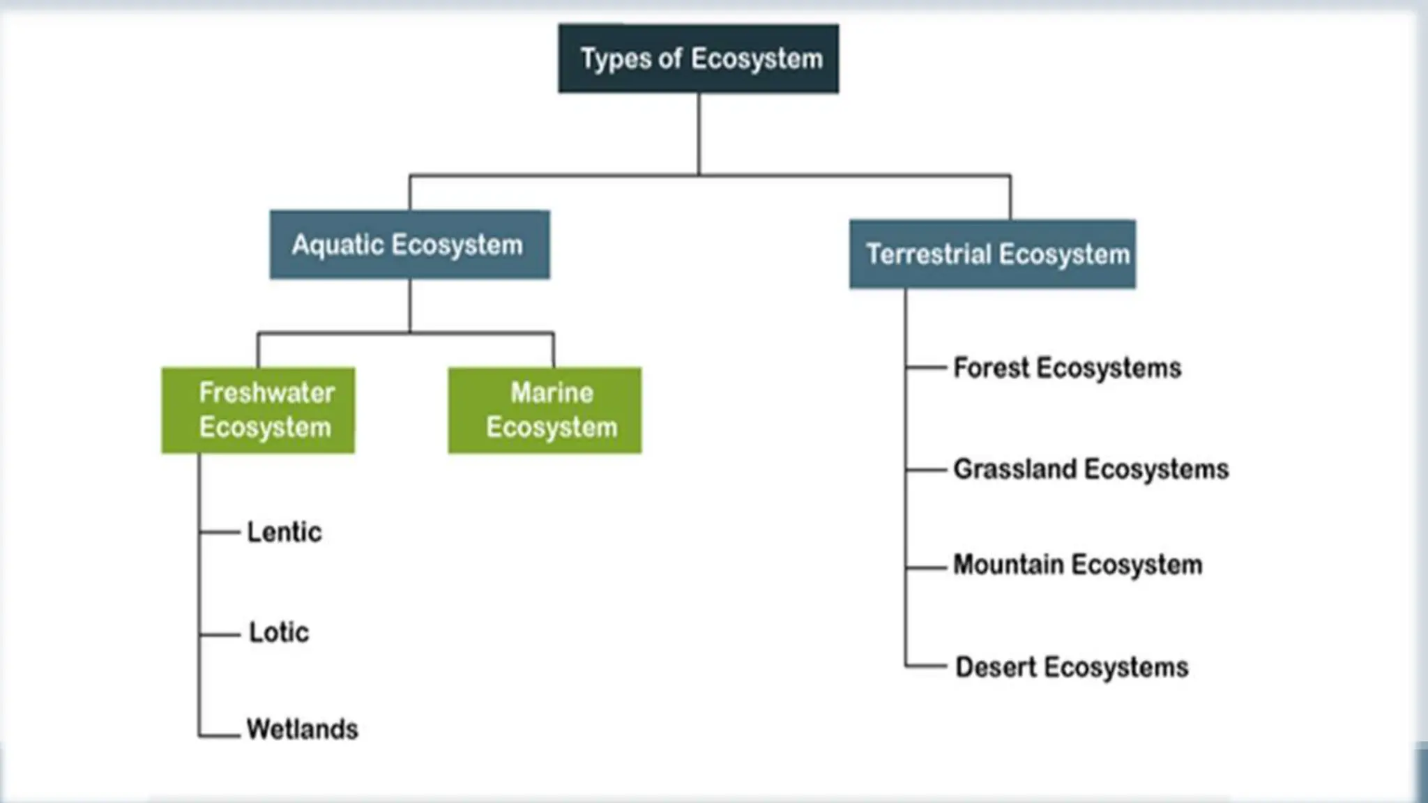 Ecosystem(Types of Ecosystem in natural habitat) | PPT