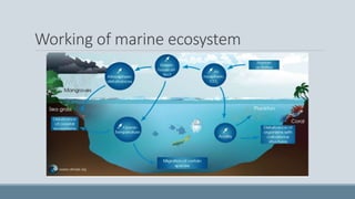 Ecosystem(Types of Ecosystem in natural habitat) | PPTX