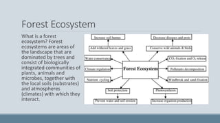 Ecosystem(Types of Ecosystem in natural habitat) | PPT