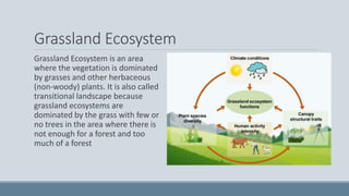 Ecosystem(Types of Ecosystem in natural habitat) | PPT