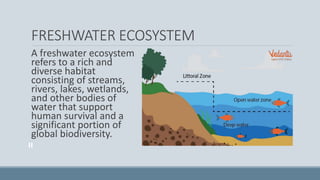 Ecosystem(Types of Ecosystem in natural habitat) | PPT