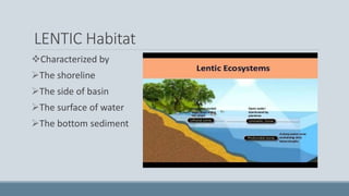 Ecosystem(Types of Ecosystem in natural habitat) | PPT