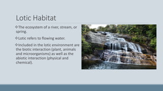 Ecosystem(Types of Ecosystem in natural habitat) | PPTX