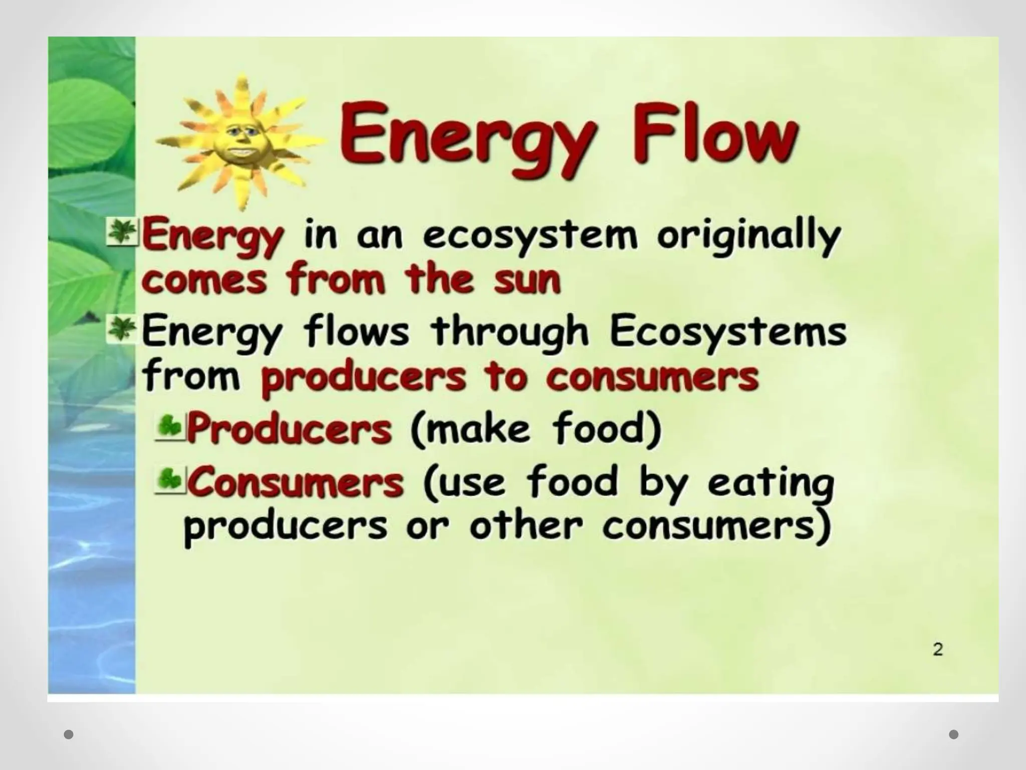 ecosystem_ppt for environment study by Scsmcoe | PPTX