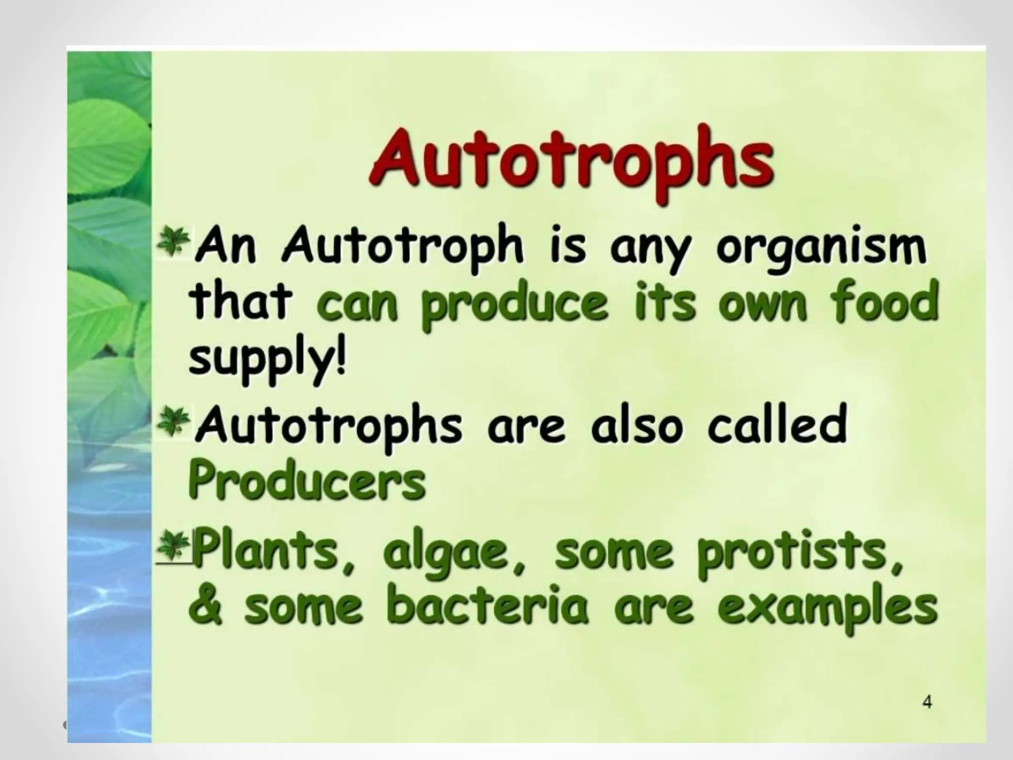 ecosystem_ppt for environment study by Scsmcoe | PPT