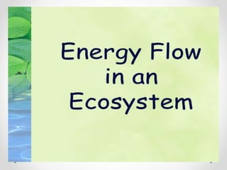 ecosystem_ppt for environment study by Scsmcoe | PPT