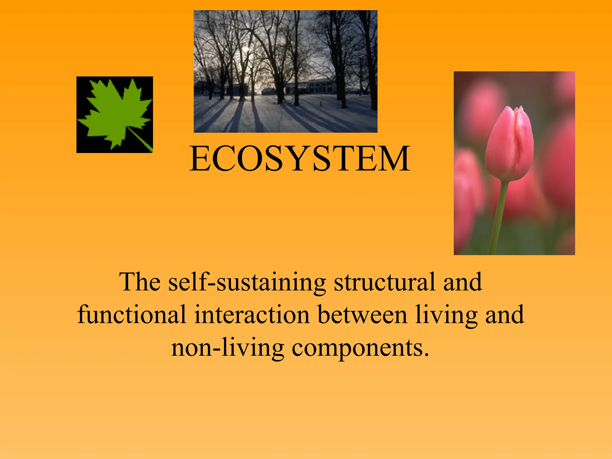 ECOSYSTEM power point presentation download | PPT | Free Download