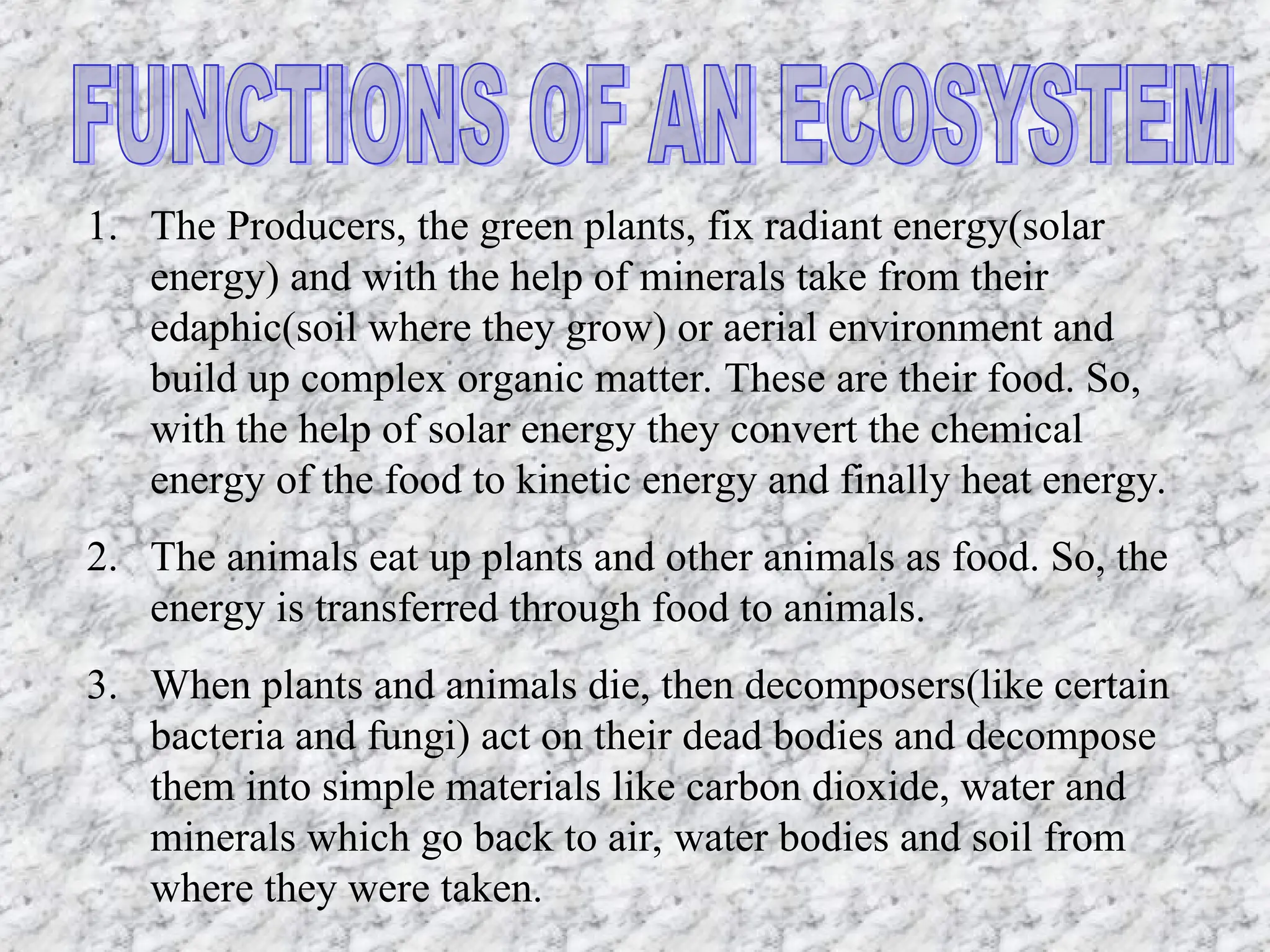 ECOSYSTEM power point presentation download | PPT