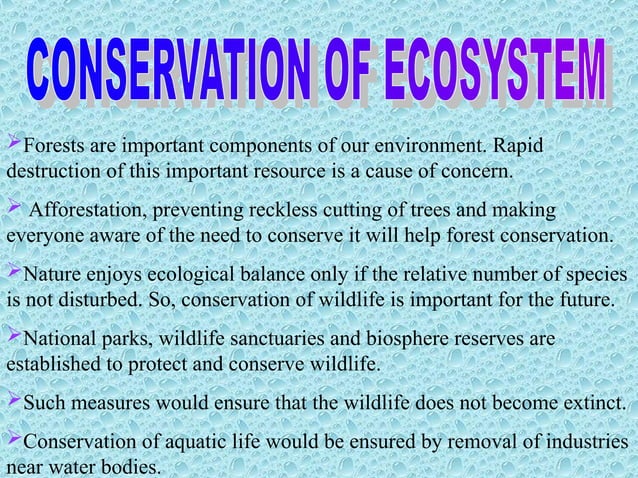 ECOSYSTEM power point presentation download | PPT
