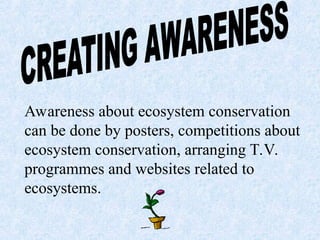 ECOSYSTEM power point presentation download | PPT