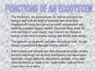 ECOSYSTEMheathdeveloomentproframschool.ppt