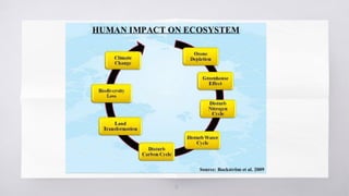"Understanding Ecosystems: Balance in Nature" | PDF