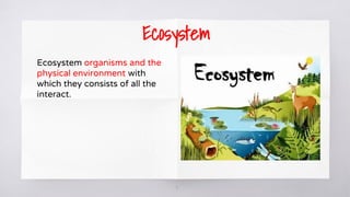 "Understanding Ecosystems: Balance in Nature" | PDF