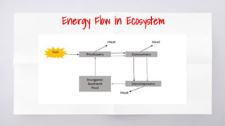 "Understanding Ecosystems: Balance in Nature" | PDF