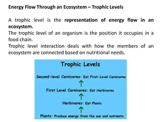 Ecosystem introduction, trophic levels can be represented by numbers | PDF