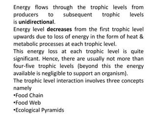 Ecosystem introduction, trophic levels can be represented by numbers | PDF
