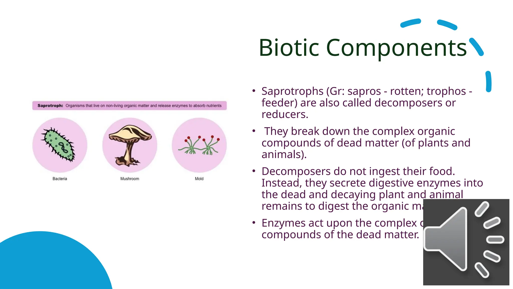 Ecosystem. its structure and functions.. | PPT