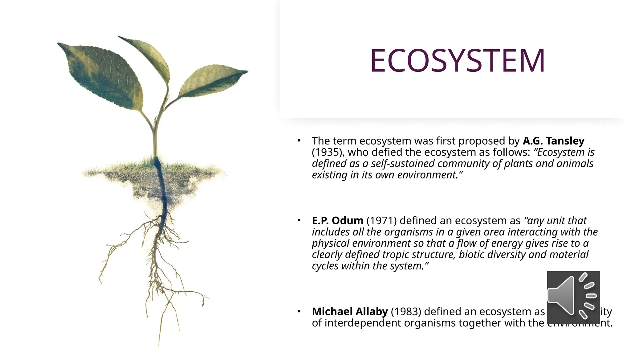 Ecosystem. its structure and functions.. | PPT