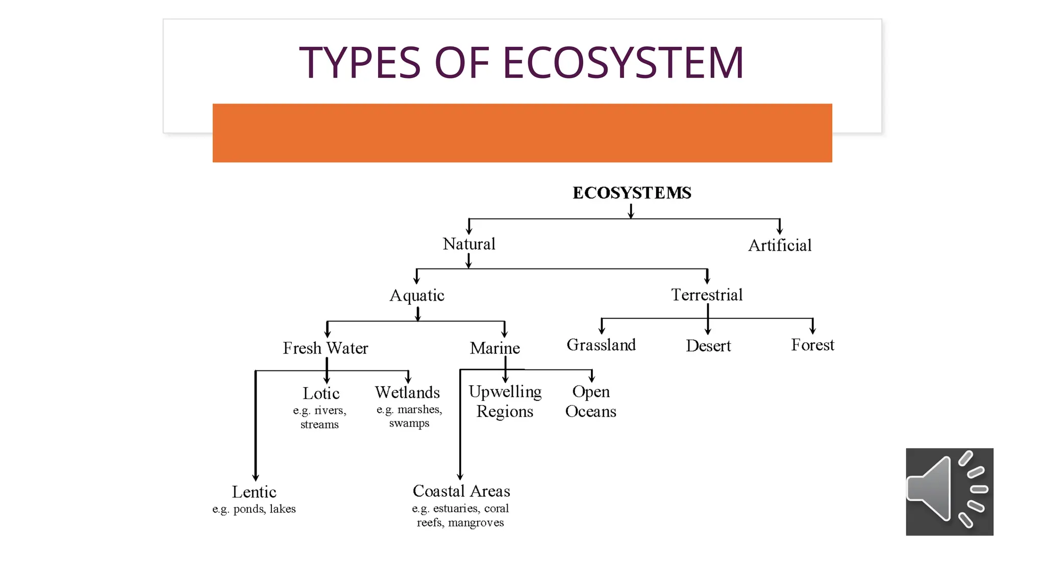 Ecosystem. its structure and functions.. | PPT