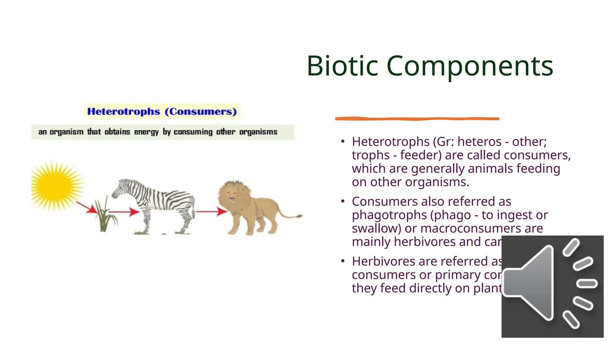 Ecosystem. its structure and functions.. | PPT