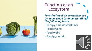 Ecosystem. its structure and functions.. | PPTX