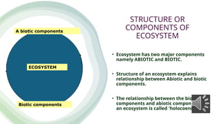 Ecosystem. its structure and functions.. | PPT
