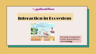 ECOSYSTEM Interaction Science Grade 8 - 2024.pptx